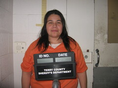 Inmate Roster - Page 3 Current Inmates Booking Date Descending - Terry ...