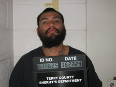 Inmate Roster - Page 3 Current Inmates Booking Date Descending - Terry ...