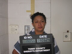 Inmate Roster - Page 3 Current Inmates Booking Date Descending - Terry ...