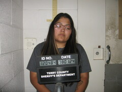 Inmate Roster - Current Inmates Booking Date Descending - Terry County ...